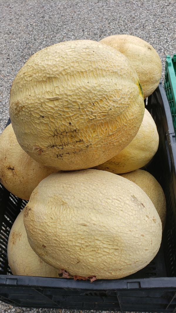 Fruit Fuhrmann Orchards