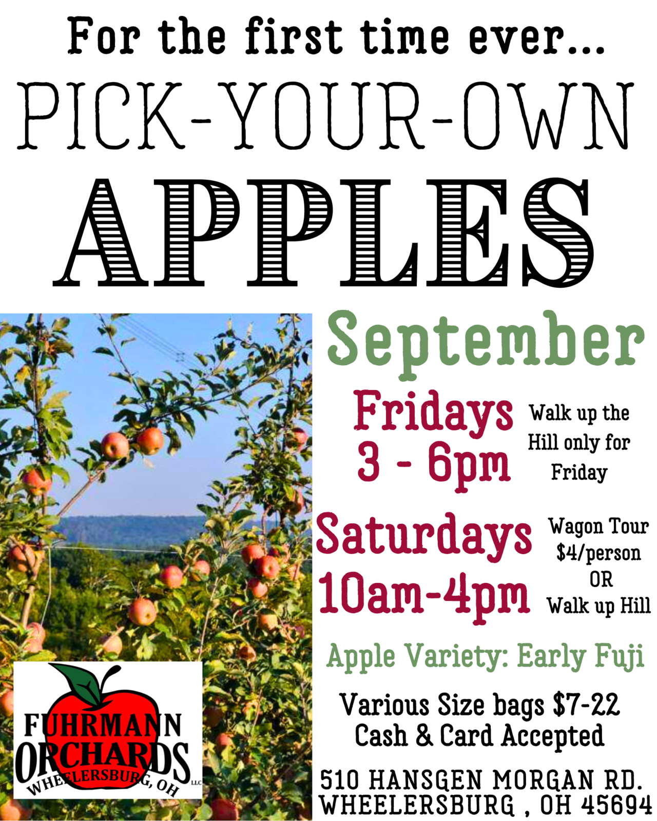 Pick Your Own Apples Fuhrmann Orchards